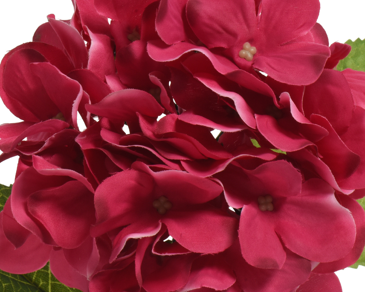 Hortensia artificiel sur tige, couleur fuchsia | Fleurs / Plantes ...