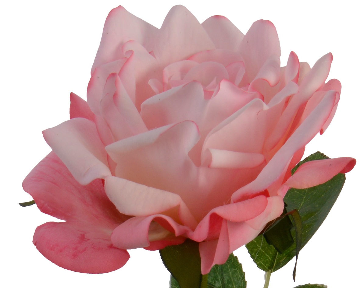 Rose artificielle sur tige, couleur rose, 68 cm | Fleurs / Plantes ...